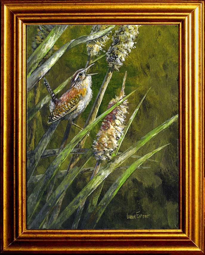 Singing Marsh Wren | The Art of Larry Eifert