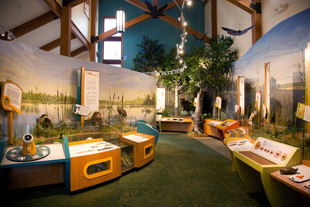 Necedah Wildlife Refuge installation | The Art of Larry Eifert