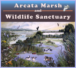 Reprinting the Arcata Marsh Mural | The Art of Larry Eifert
