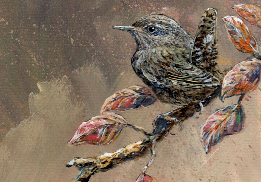 Pacific Wren study | The Art of Larry Eifert