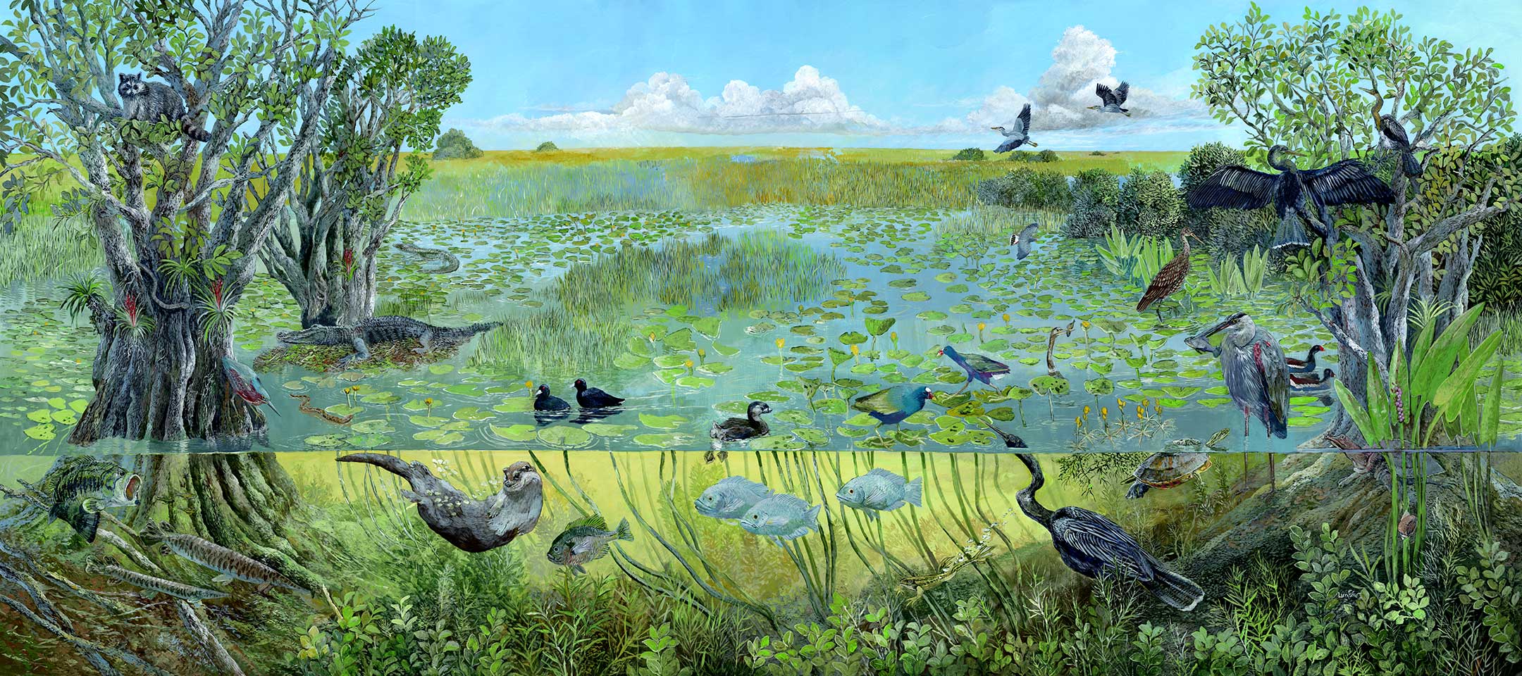 Everglades National Park – Plentiful Fish wayside | The Art of Larry Eifert