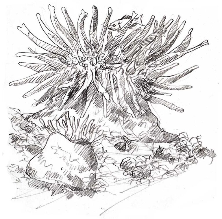 Line Art – Presketches for bigger projects | The Art of Larry Eifert
