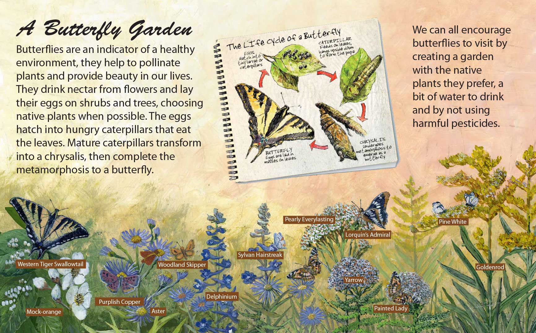 A Butterfly Garden | The Art of Larry Eifert