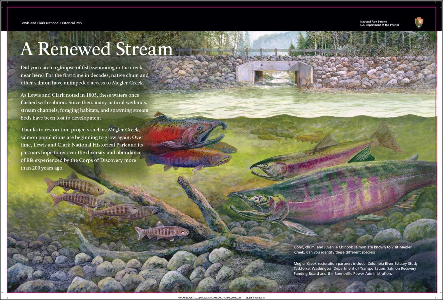 Salmon Recovery Wayside Panels | The Art of Larry Eifert